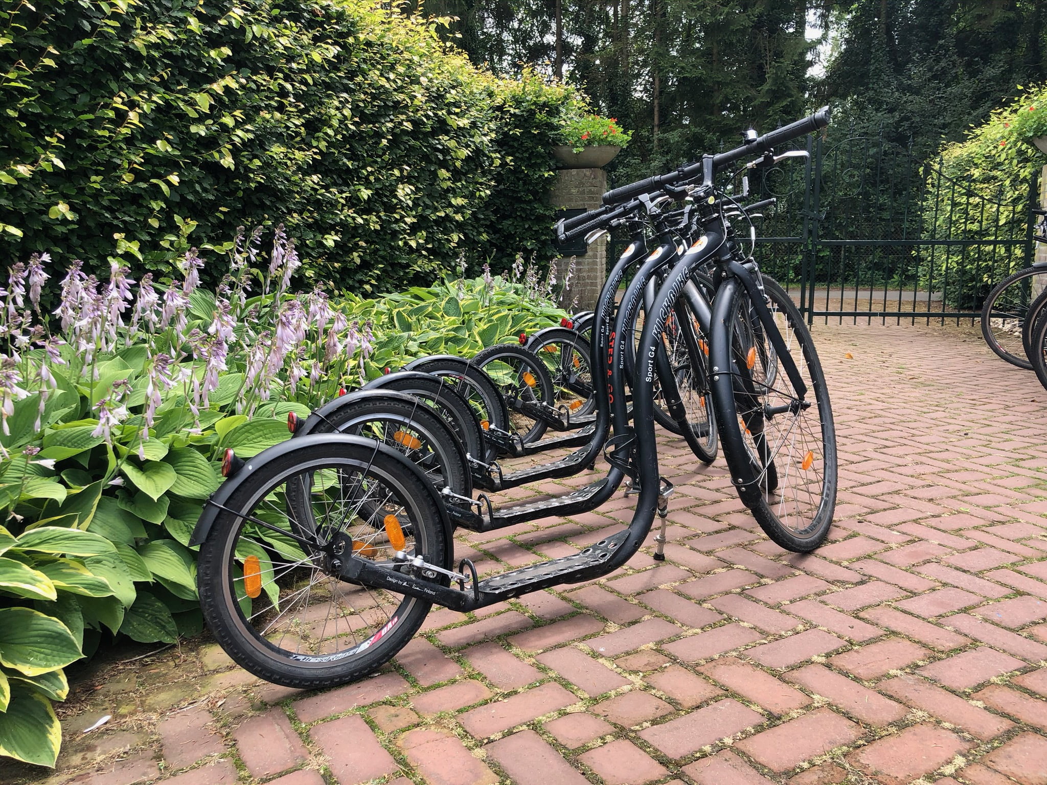 Kickbike - Step & Go Stepverhuur