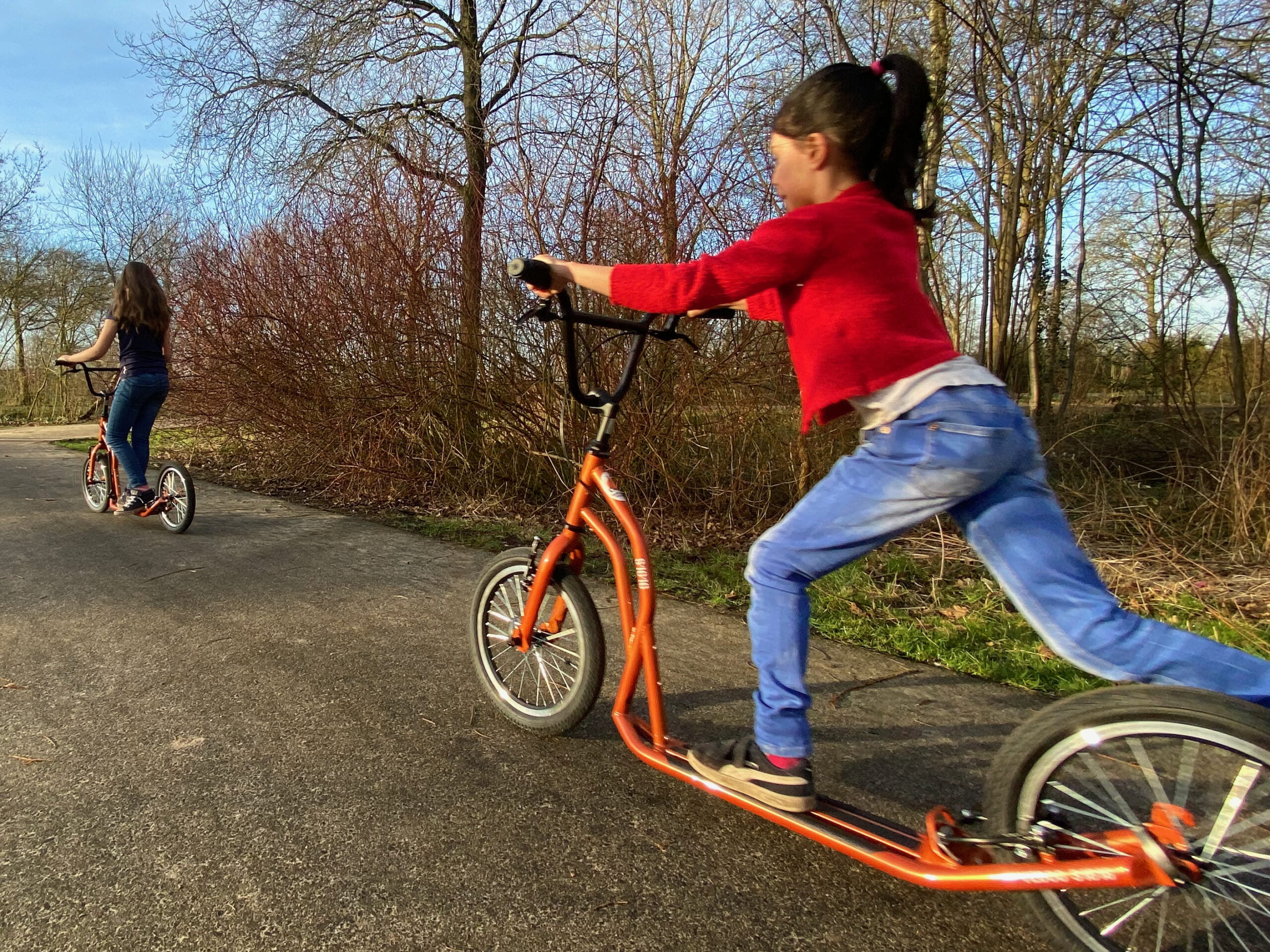 Een leuk dagje uit op de Veluwe, voordelig steps huren in Epe